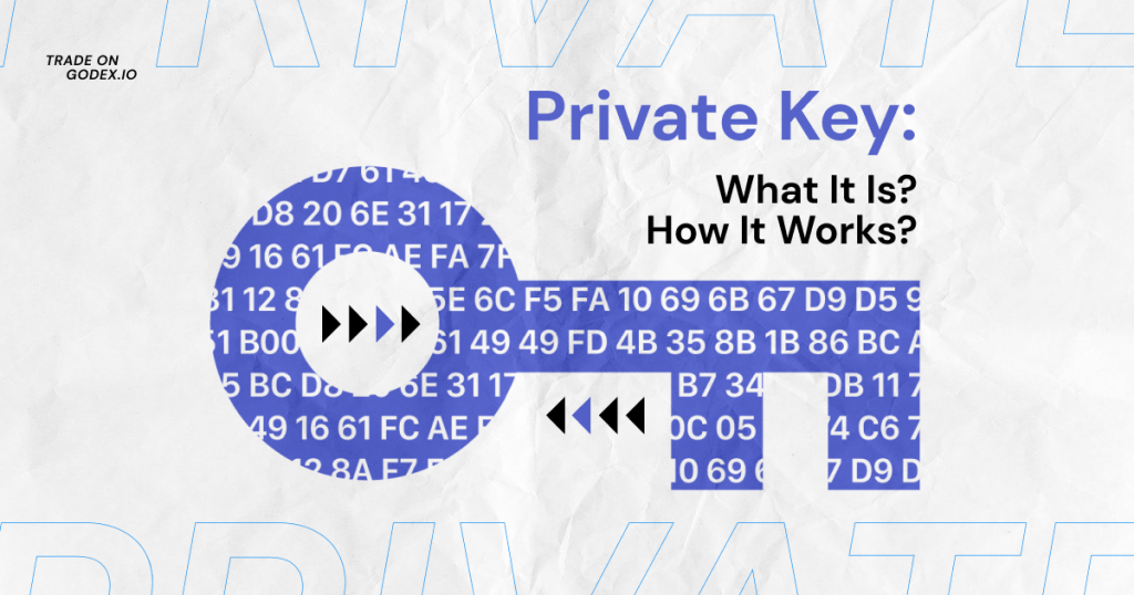 Private Key in Cryptography: Understanding It's Nature and Mechanics ...
