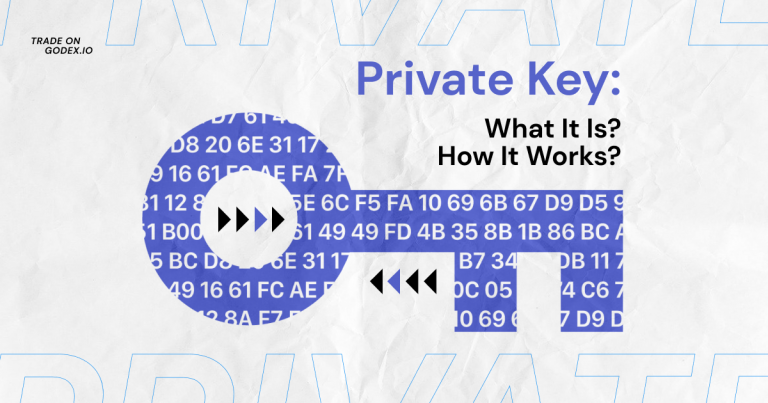 Private Key in Cryptography: Understanding It's Nature and Mechanics ...