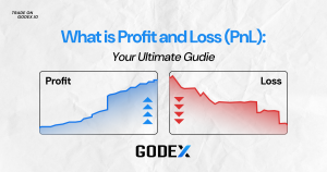 What is Profit and Loss (PnL): Your Ultimate Guide | Godex.io