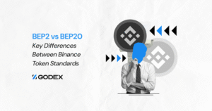 BEP2 vs BEP20: Key Differences Between Binance Token Standards | Godex.io