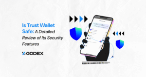 Is Trust Wallet Safe: A Detailed Review of Its Security Features | Godex